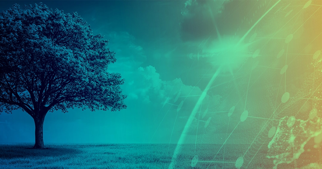 Services Maple Technologies